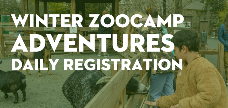 Roger Williams Park Zoo